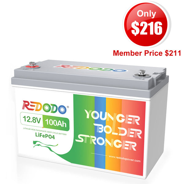 【Only $531】Redodo 3000W Pure Sine Wave Inverter Charger