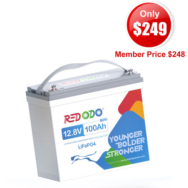 【Only $531】Redodo 3000W Pure Sine Wave Inverter Charger